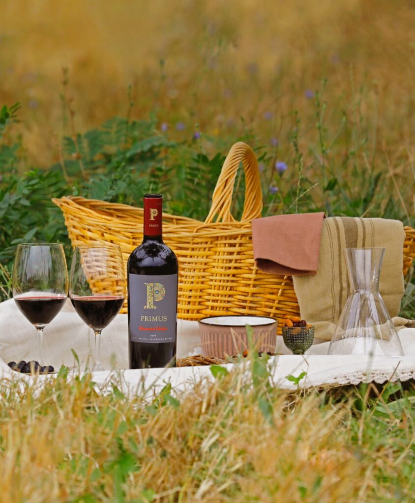 Visit Neyen de Apalta Vineyard - Contact Us Today.