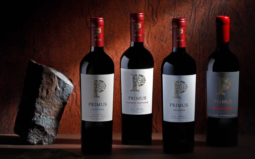 Primus Wines: Innovation and Quality in Chilean Red Wines.