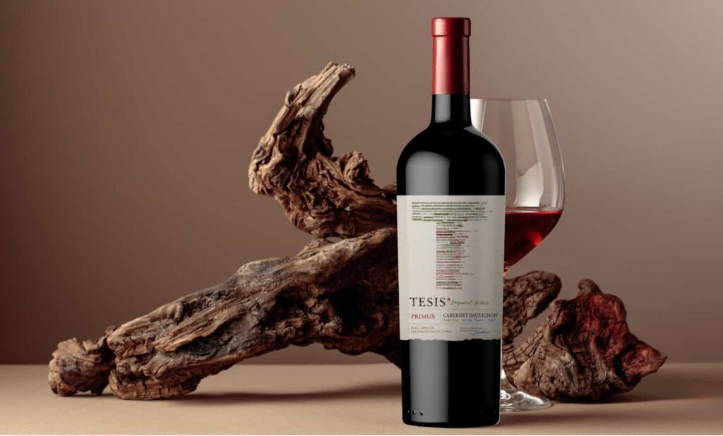 Primus Wines: Innovation and Quality in Chilean Red Wines.